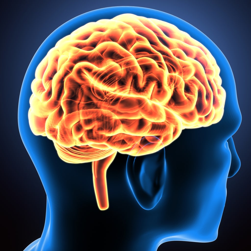 BRAIN REGIONS ALTERED IN PANS/PANDAS - James Schaller MD, MAR