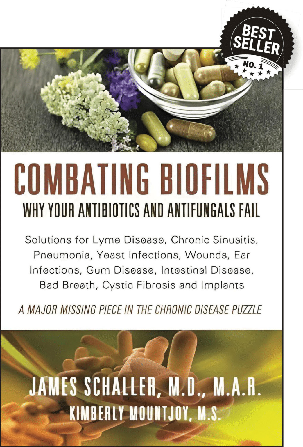 NO ONE HAS MORE BOOKS ON LYME, BABESIA, AND BARTONELLA A TOP RESEARCH ...